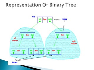 Tree | PPT