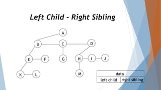 Types of Tree in Data Structure in C++ | PPTX