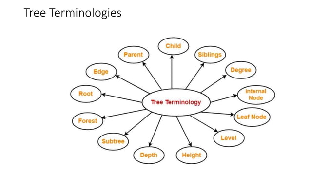 TERMINOLOGIES OF TREE, TYPES OF TREE.pptx
