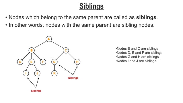 TERMINOLOGIES OF TREE, TYPES OF TREE.pptx