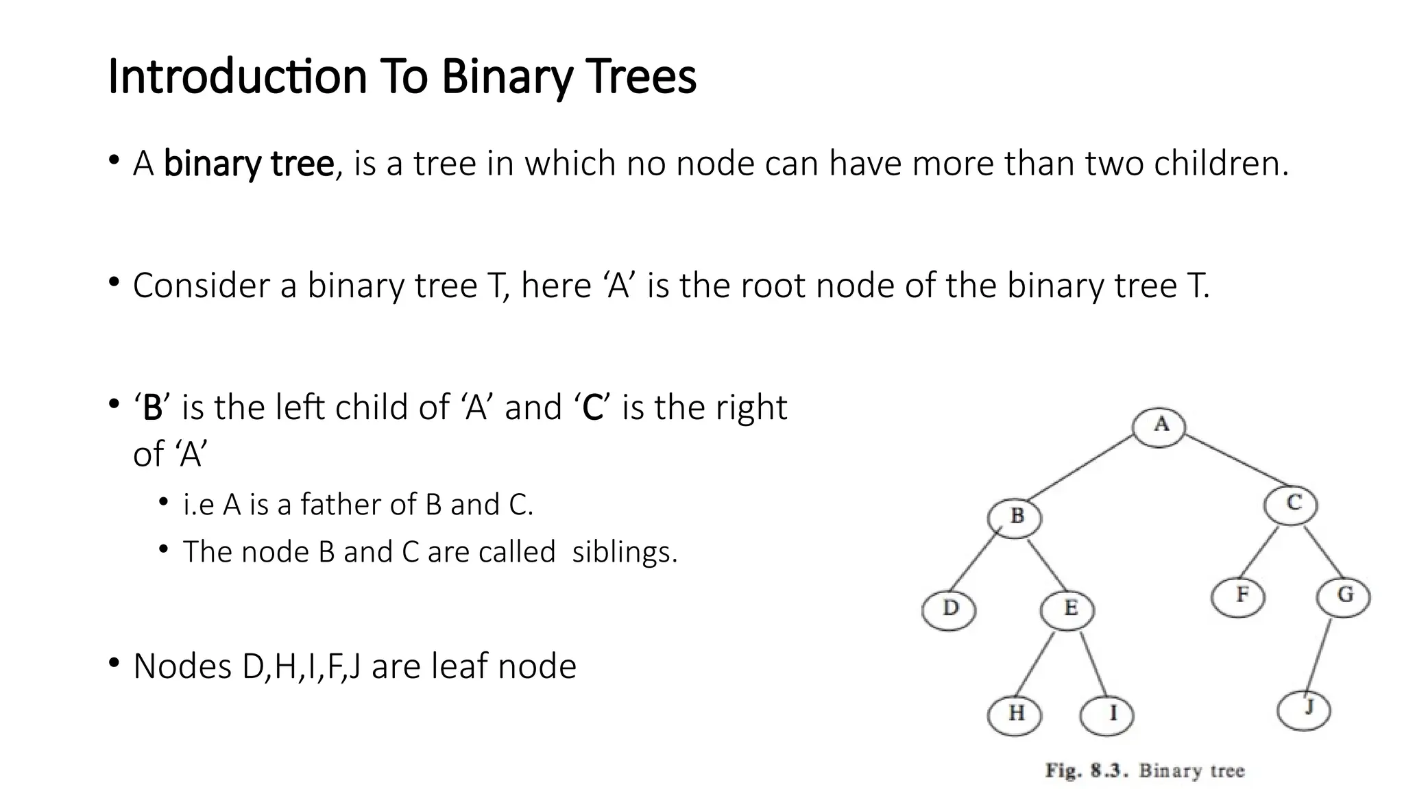 BASIC TREE AND TYPES OF DI CONCEPTS.pptx
