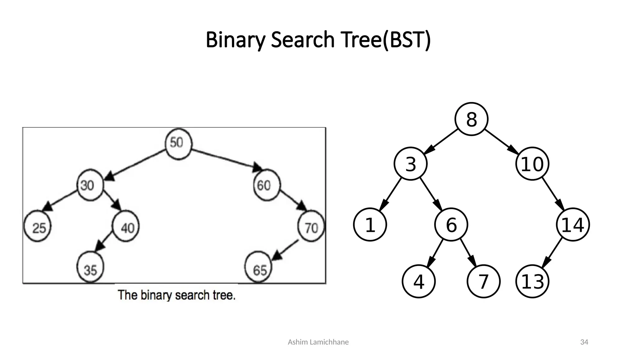 BASIC TREE AND TYPES OF DI CONCEPTS.pptx