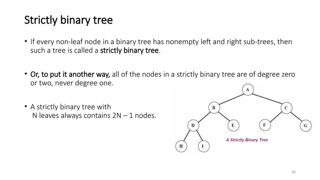 BASIC TREE AND TYPES OF DI CONCEPTS.pptx