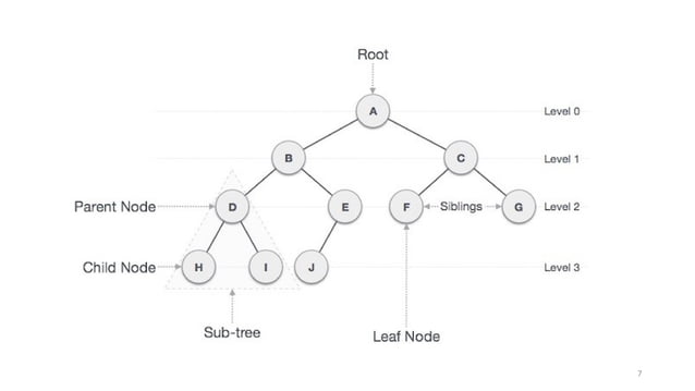 BASIC TREE AND TYPES OF DI CONCEPTS.pptx