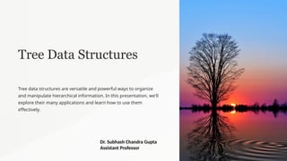 Tree all information about tree concept are available . | PPTX