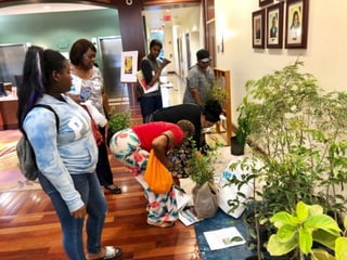 Tree equity in Broward County | PPT