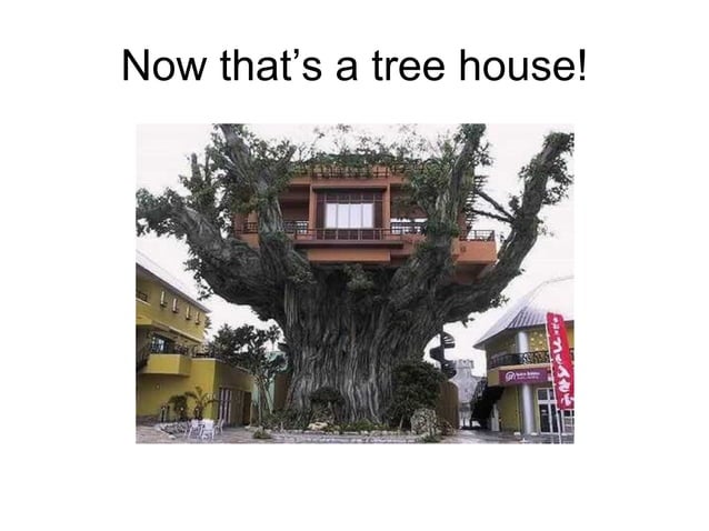 Tree House Ppt Free Download