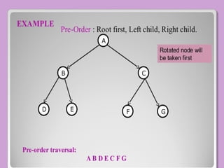 Tree-In Data Structure | PPT | Programming Languages | Computing