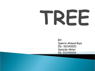 Tree-In Data Structure | PPT