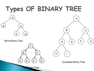 Tree-In Data Structure | PPT