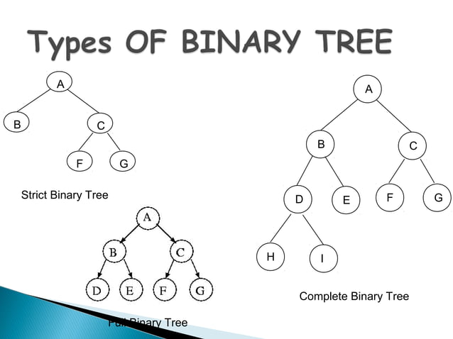 Tree-In Data Structure | PPT | Programming Languages | Computing
