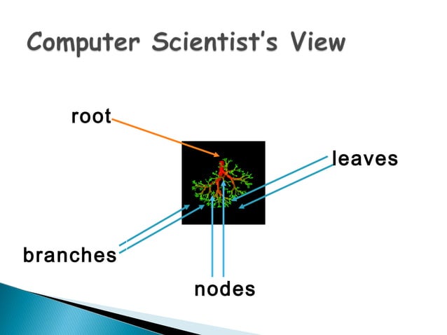 Tree In Data Structure Ppt Programming Languages Computing
