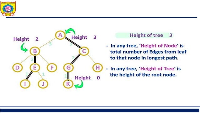 Tree-introduction ,Definition, Types of BT | PPT