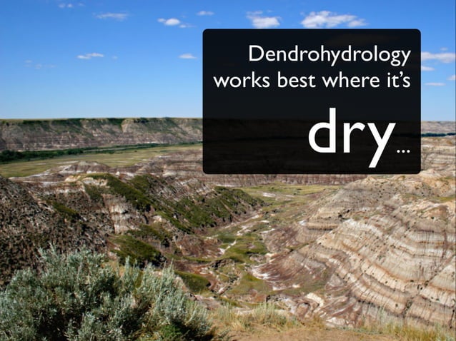Tree rings and drought on the Canadian Prairies | PPT