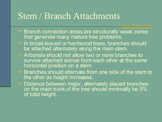 Tree Training | PPT