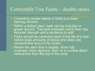 Tree Training | PPT