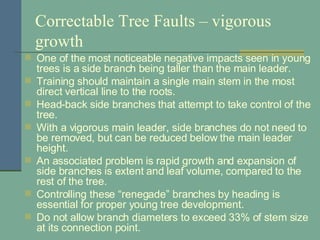 Tree Training | PPT