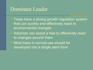 Tree Training | PPT