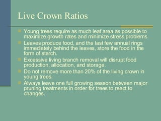 Tree Training | PPT