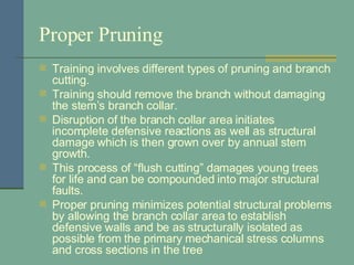Tree Training | PPT