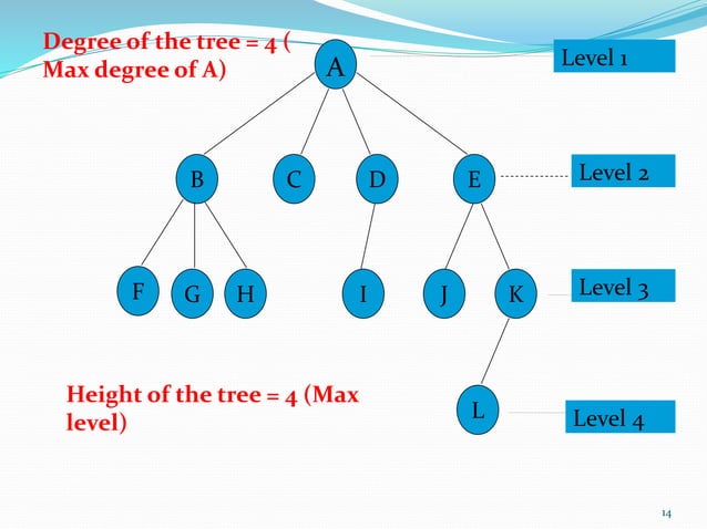 Non Linear Data Structure Introduction Of Tree Ppt