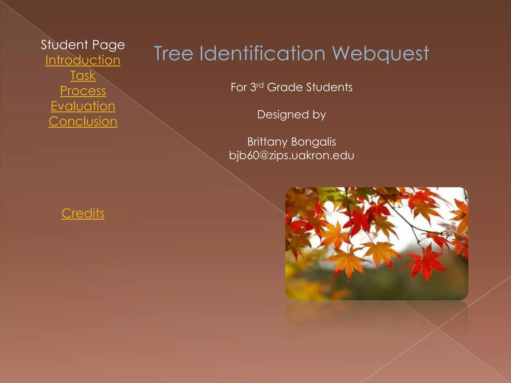 Tree Identification Webquest | PPTX