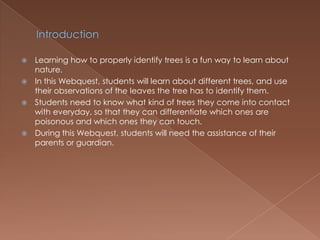 Tree Identification Webquest | PPTX