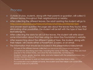 Tree Identification Webquest | PPTX