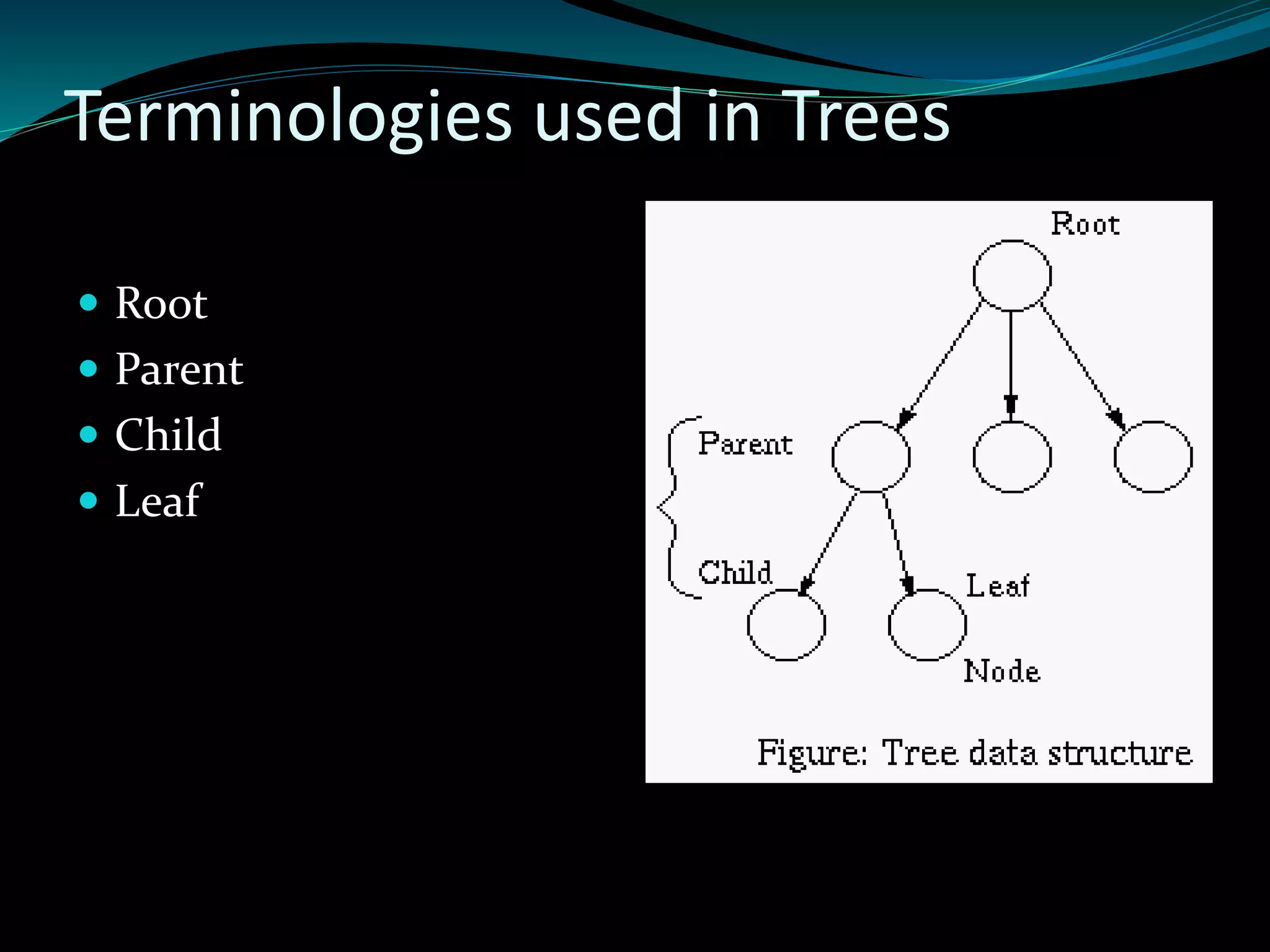 Tree and graph | PPTX