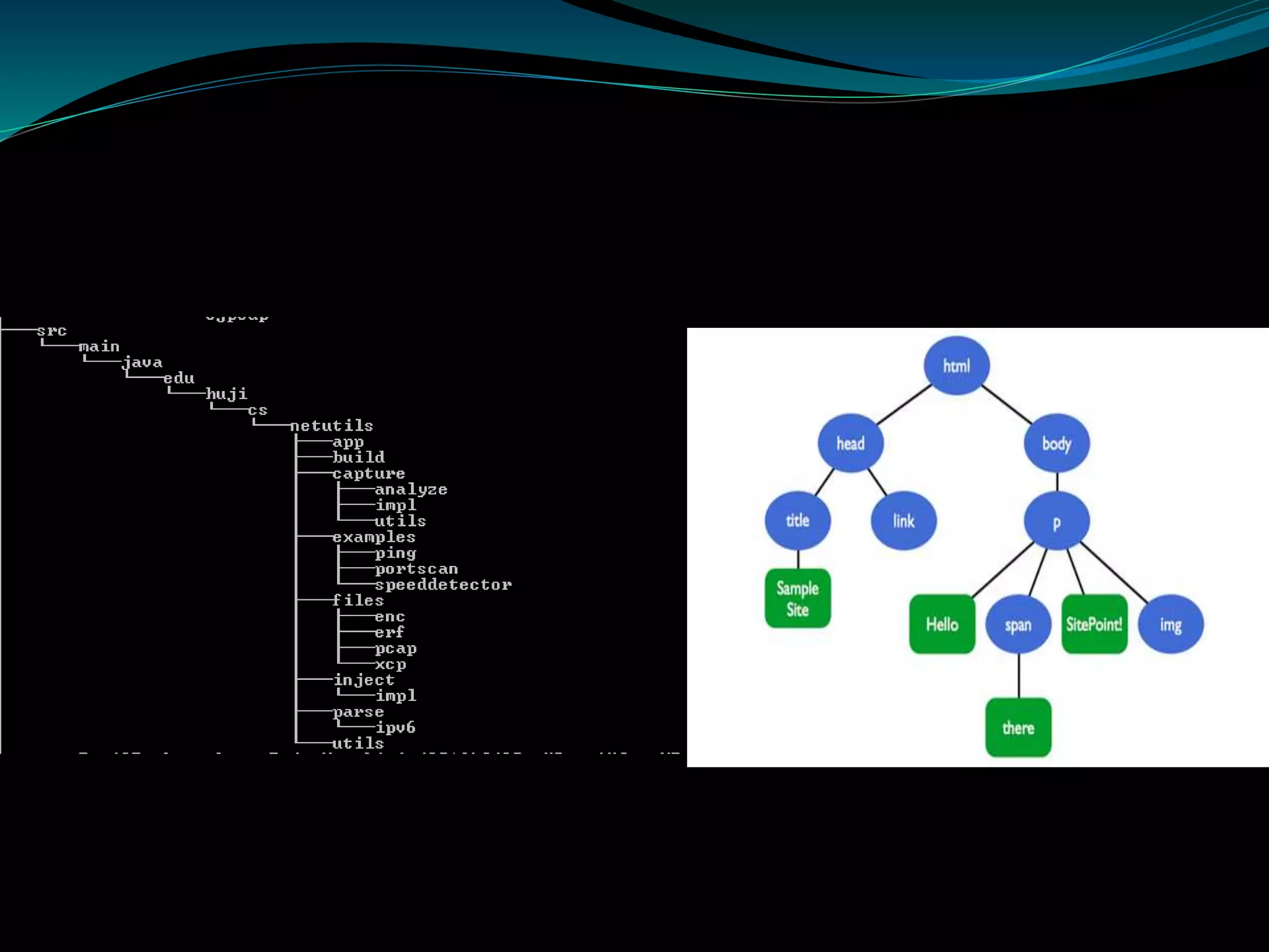 Tree and graph | PPTX