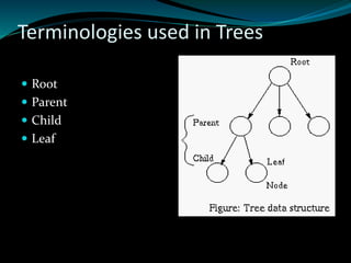 Tree and graph | PPTX