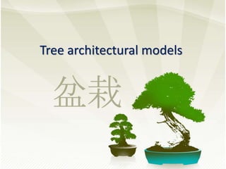 Tree architectural models | PPTX