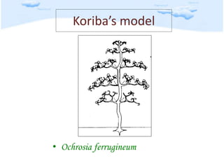 Tree architectural models | PPTX