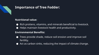 Tree as a Source of Fodder in India .pptx