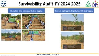 Tree Audit FY 2024-2025 2025-2026 (1).pptx