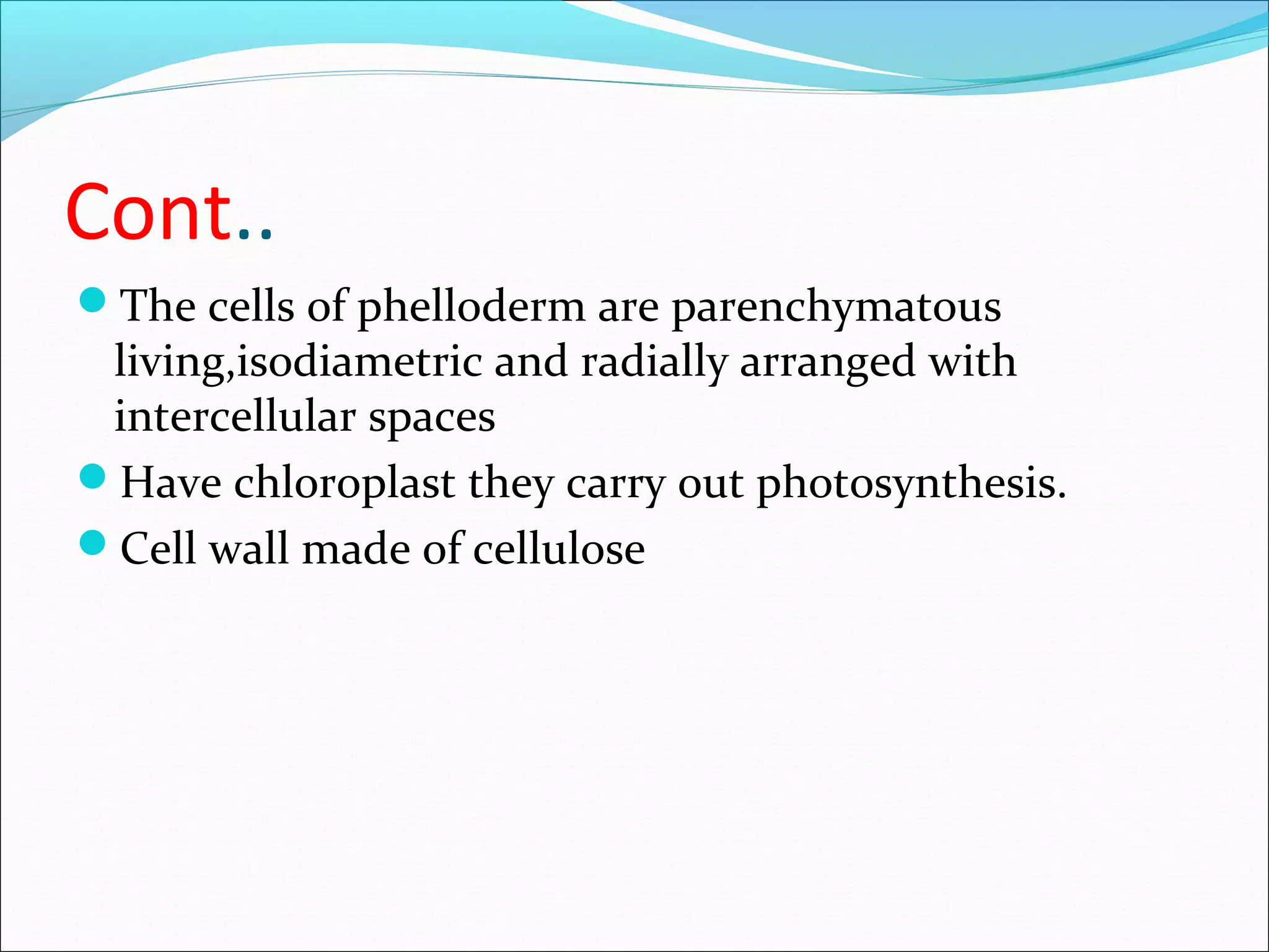 Tree bark | PPT