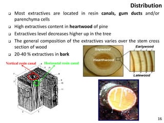 Plant bark & extractives | PPTX | Woodworking | Arts and Crafts