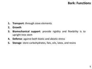 Plant bark & extractives | PPT