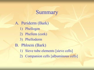 Treebiology | PPT