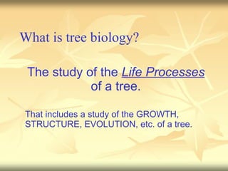 Treebiology | PPT