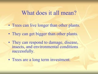 Treebiology | PPT