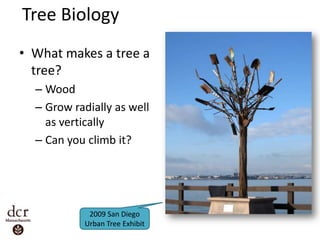 Tree biology, benefits, and the urban | PPTX