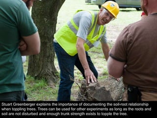 Tree biomechanics research week 2013 | PPTX