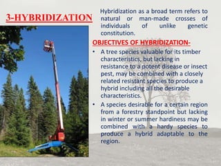 Tree breeding methods | PPTX