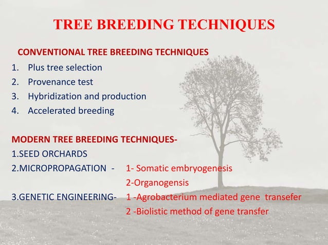 Tree breeding methods