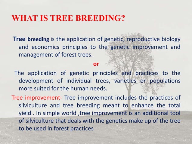 Tree breeding methods