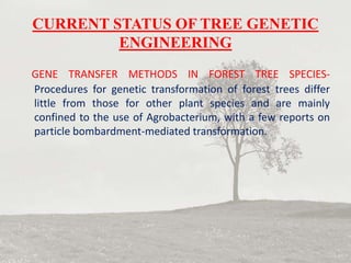 Tree breeding methods | PPT