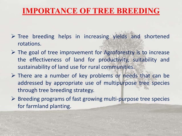 Tree breeding methods