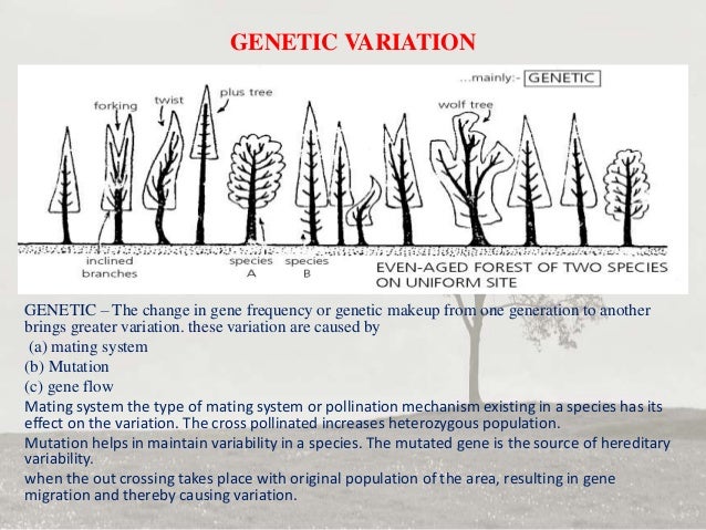 Tree breeding methods