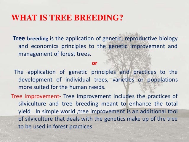 Tree breeding methods